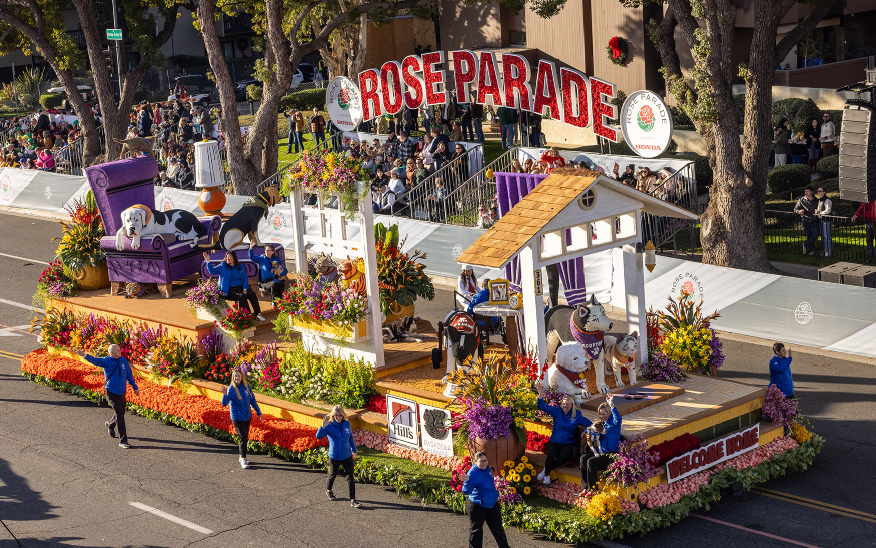 How Rose Parade Floats Are Built | Timeline, Materials & Process | AES